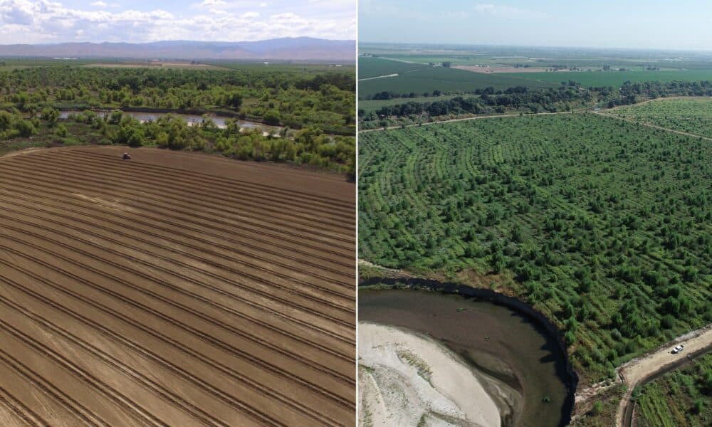 Primo Brands and River Partners Launch Groundbreaking River Restoration ...